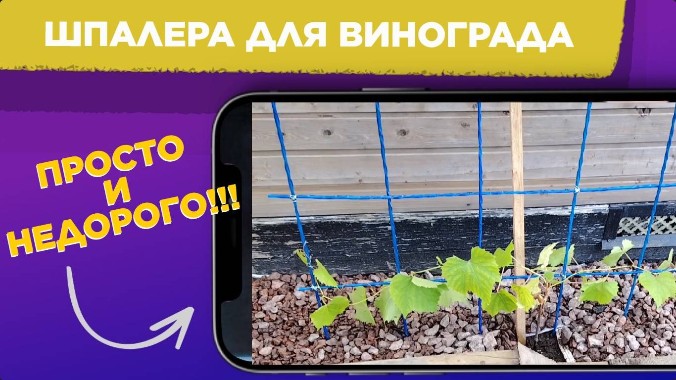 МОЯ ДАЧА / ШПАЛЕРА для винограда СВОИМИ РУКАМИ