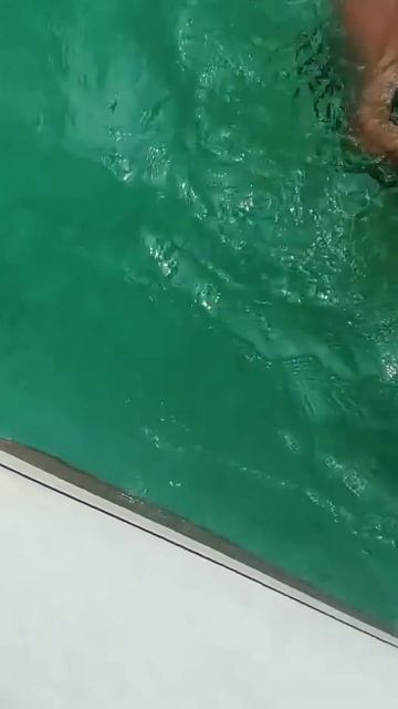 Куба  Достать звезду #поедемпосмотрим