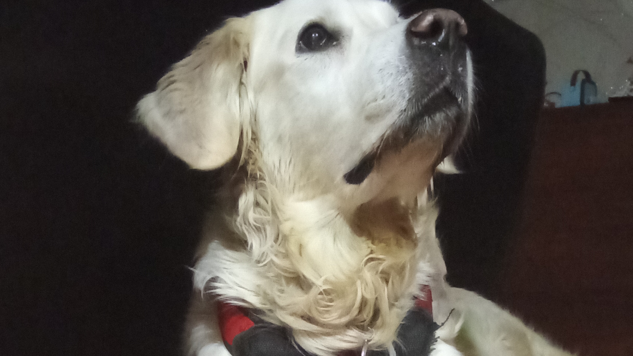 Еду в деревню!