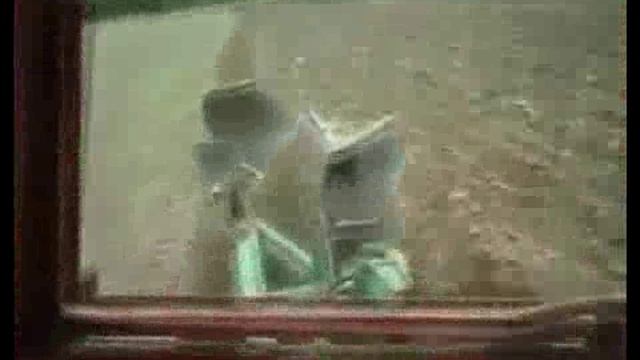 Я тракторист