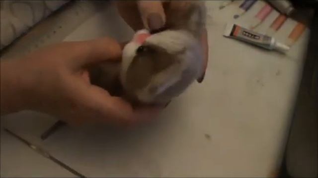 9 Часть/ Вяанный Котик/ Оформляем мордочку...