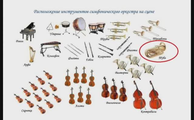 МУЗЫКА. ИНСТРУМЕНТЫ. ОРКЕСТР. СИМФОНИЧЕСКИЙ. ТУБА.