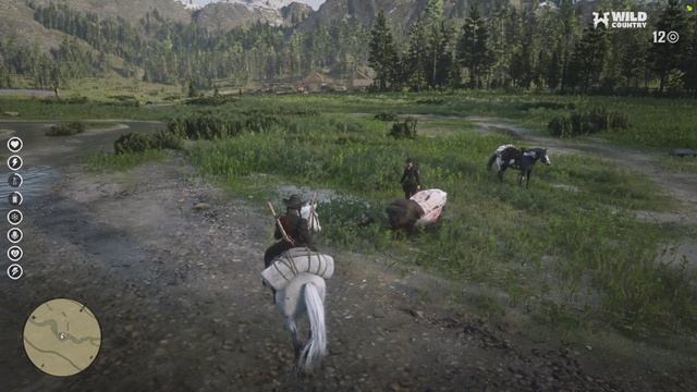 RDR 2 RP Охота на легендарного бизона/Воспоминания из жизни Евы Бейлис.