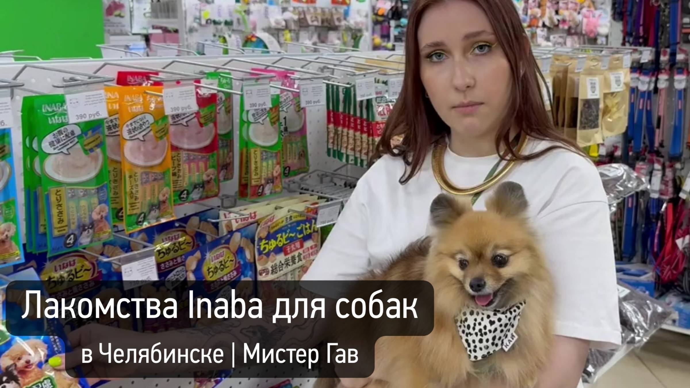 Отзыв: Лакомства Inaba для собак | Купить в Челябинске | Зоомагазин Мистер Гав