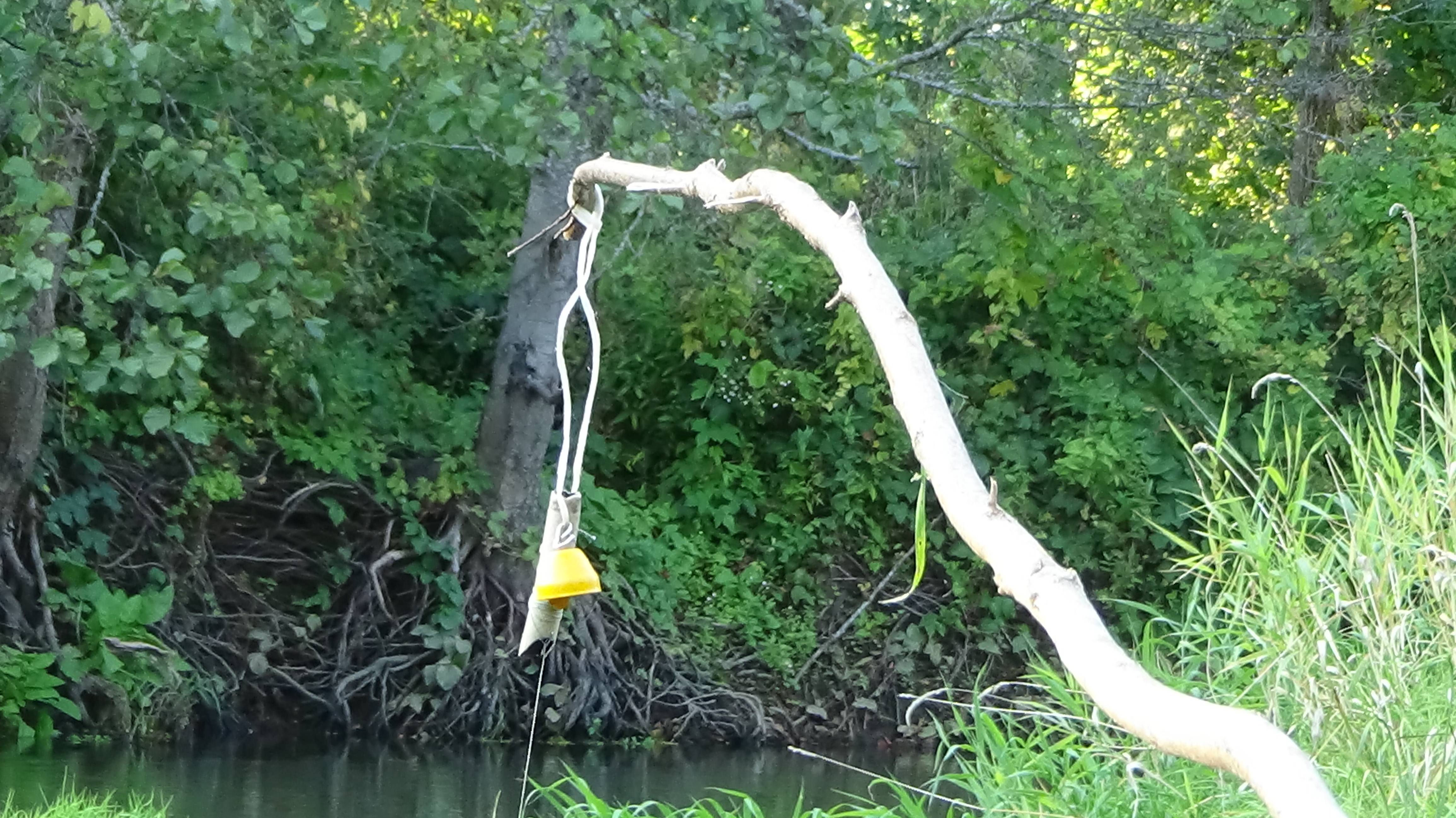 Рыбалка на хищника на простые жерлицы в конце сентября на малой реке, видеодневник одной рыбалки