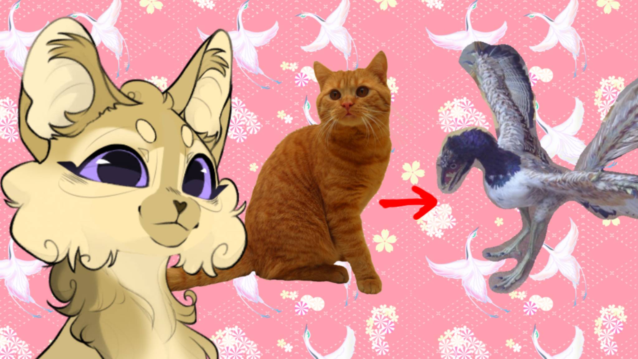 Делаю три скина котов в Feather Family! + показываю как сделать ошейник