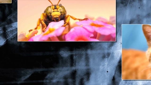 Ramio Lin - Из пустоты