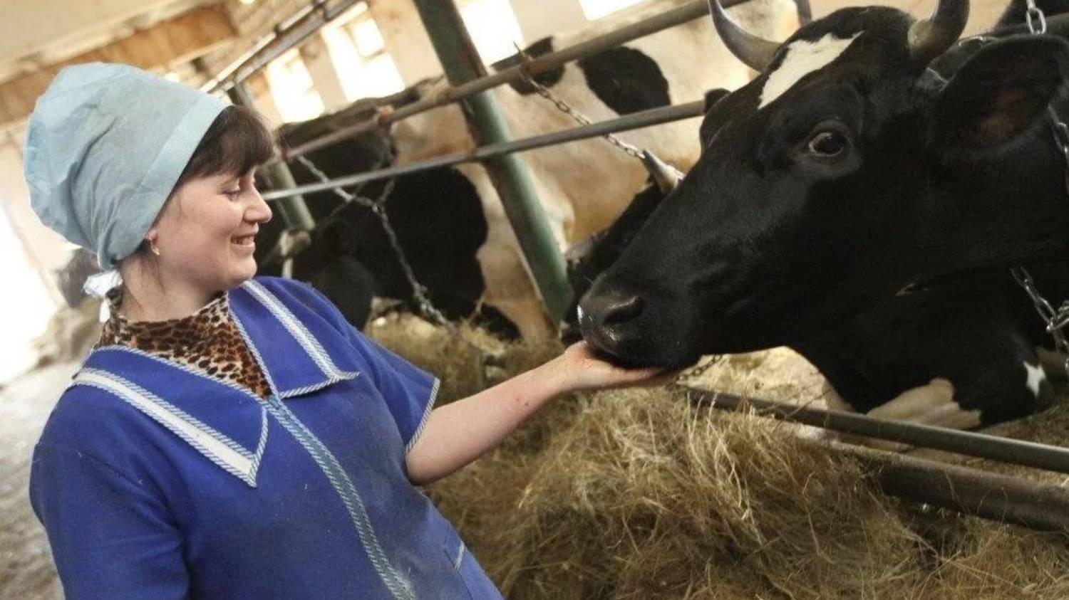 Настоящая-ст.В.Ляхова,муз и исп.нейросети,монтаж В.Зубковой.mp41