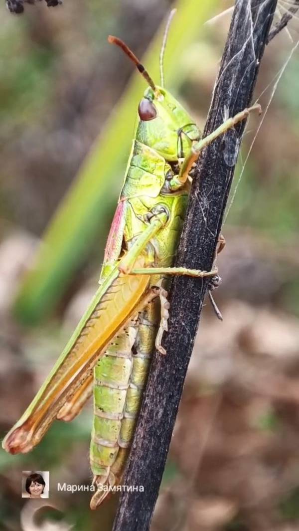 Солнечная погода в конце сентября.