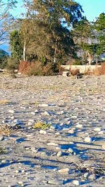 Тени камней 💎