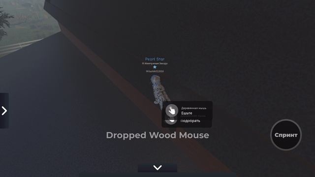 Как понять что сегодня СП?КВ роблокс /Липовая Звезда КВ/