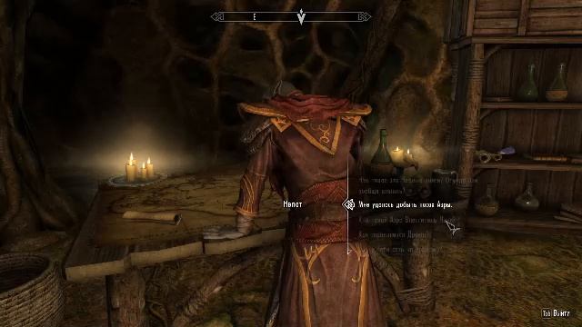 The Elder Scrolls V: Skyrim Anniversary Edition / ОТКРЫЛ ВЕСЬ МИР (2021) №35