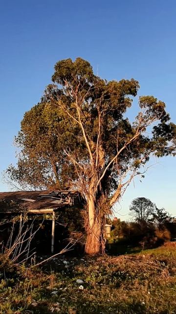 Красота природы 🍀