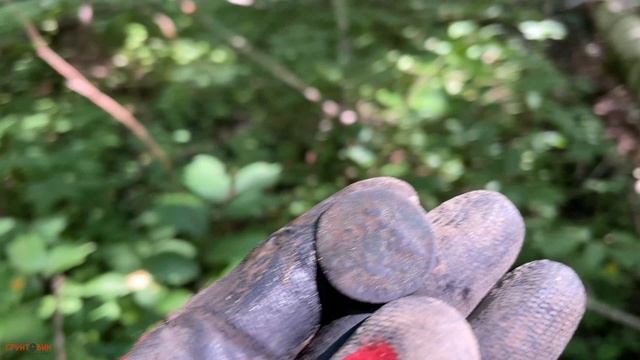 Нашли в лесу старые небитые дороги. Коп с Garrett Vortex