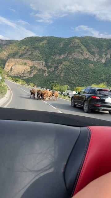 Жизнь местных!