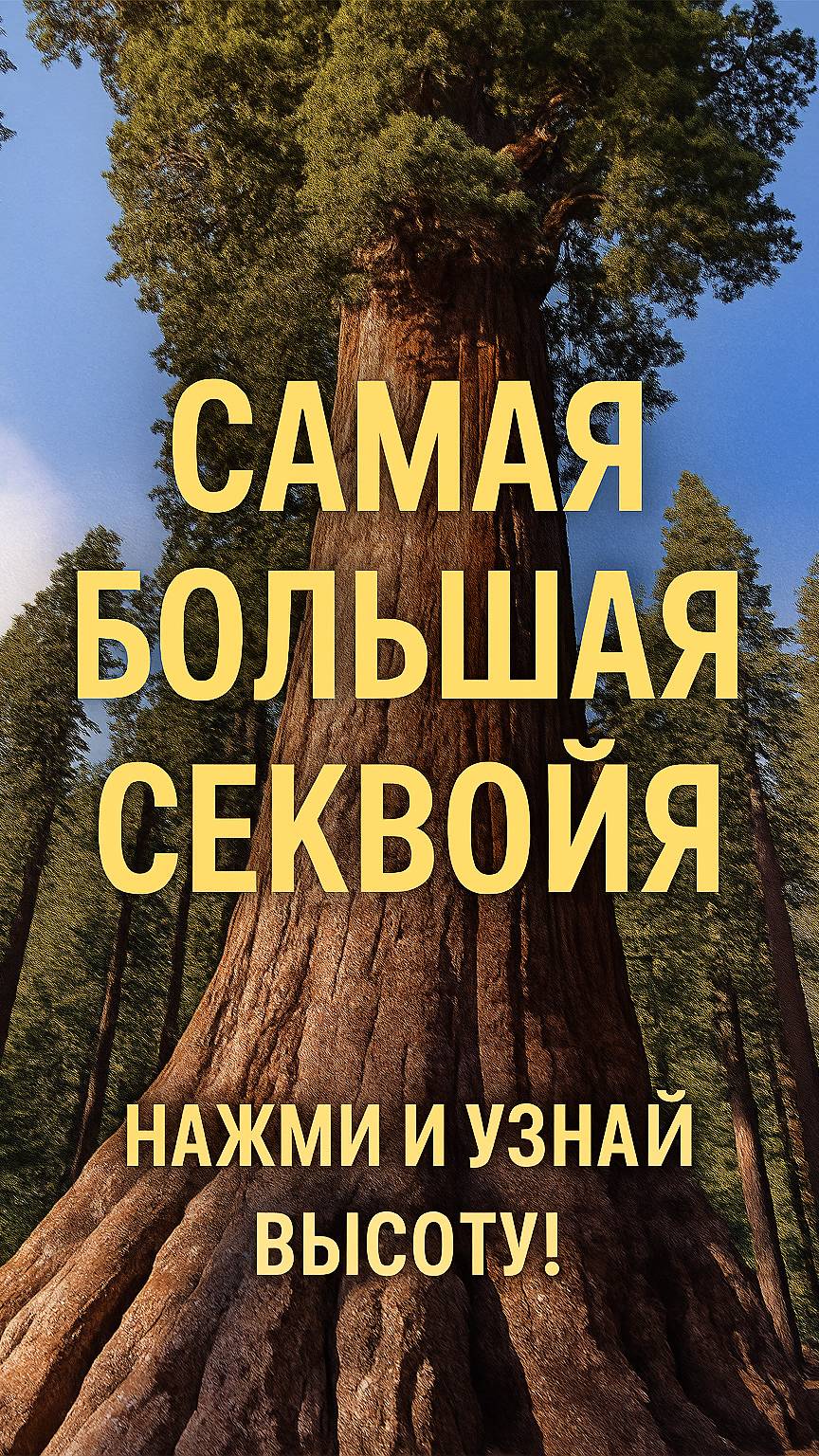 Самое БОЛЬШОЕ Дерево в МИРЕ! 🤯🌳 Генерал Шерман