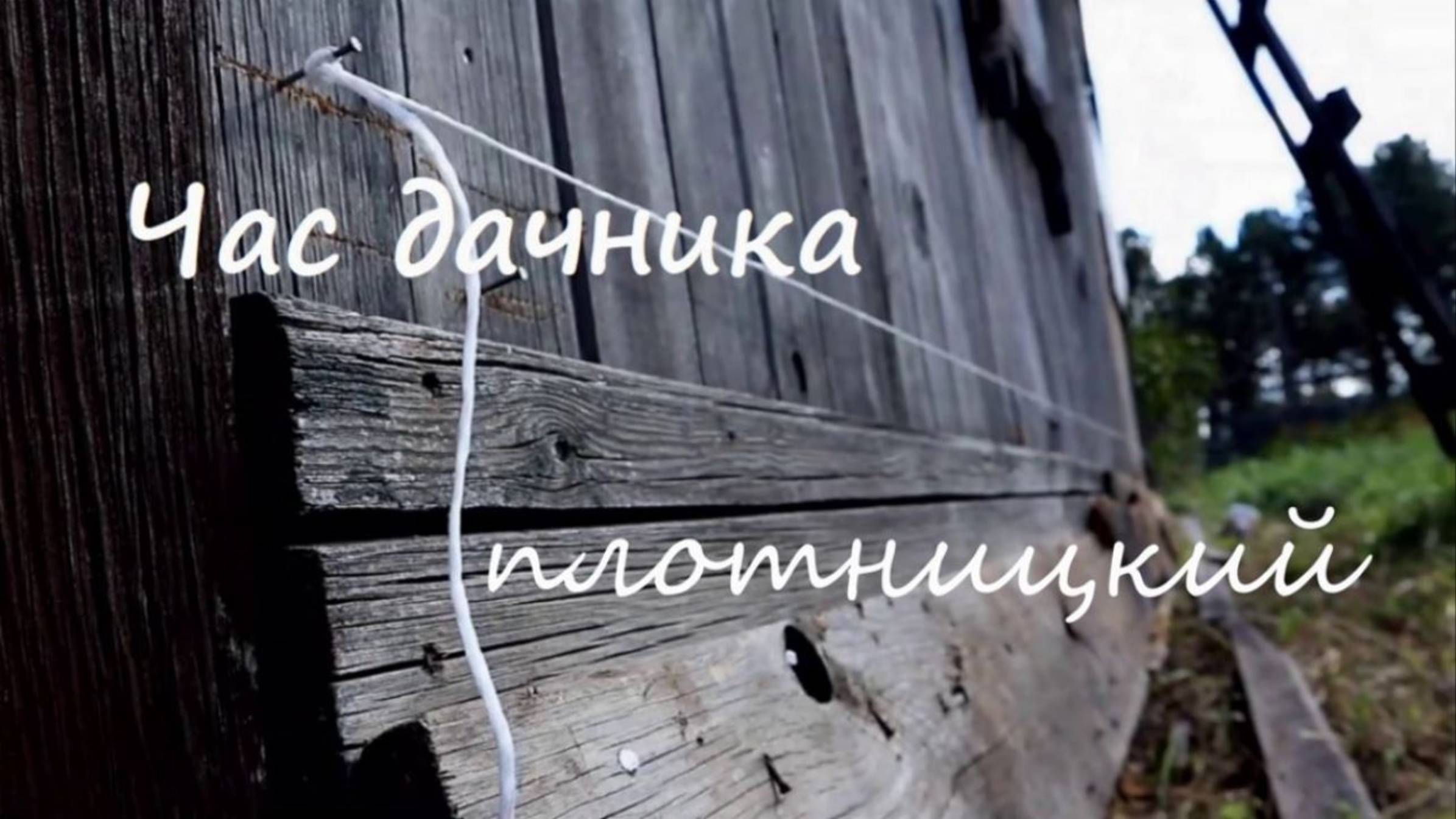 Час дачника плотницкий