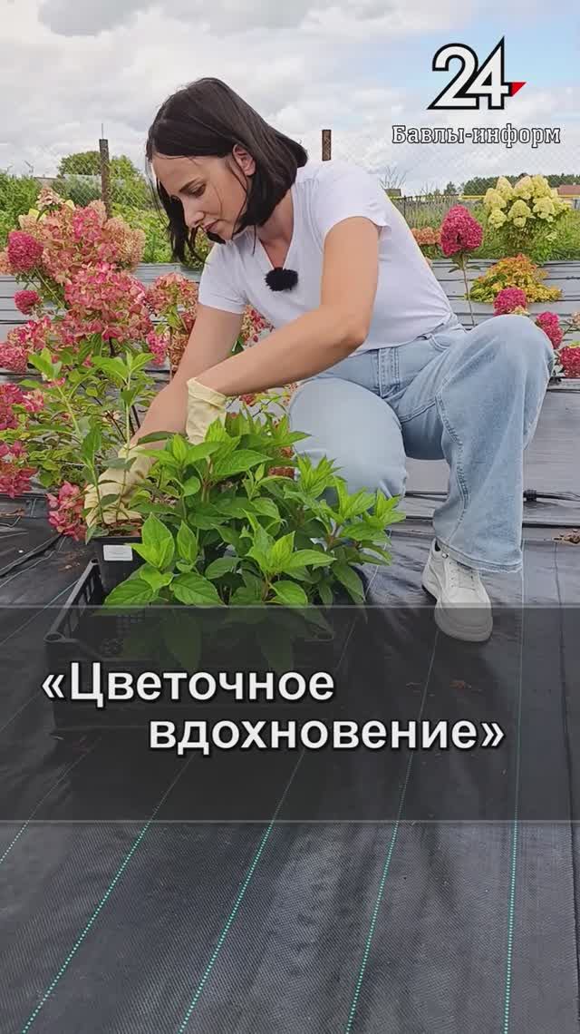 «Цветочное вдохновение»