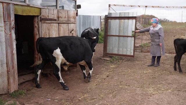 Көзге профилактика чаралары