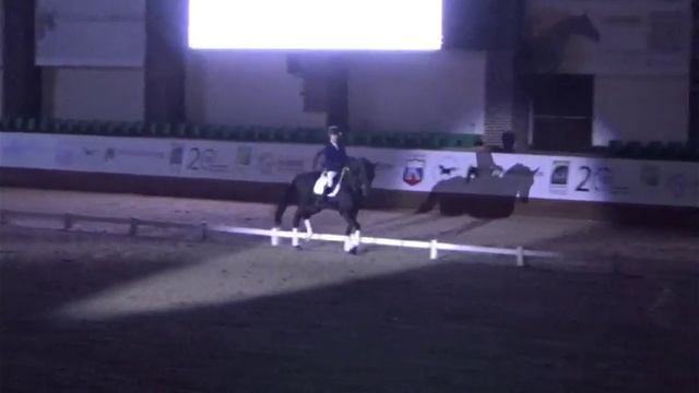 Русский верховой  жер. БИОРИТМ (Байкал - Идэра), 2016 г. р.