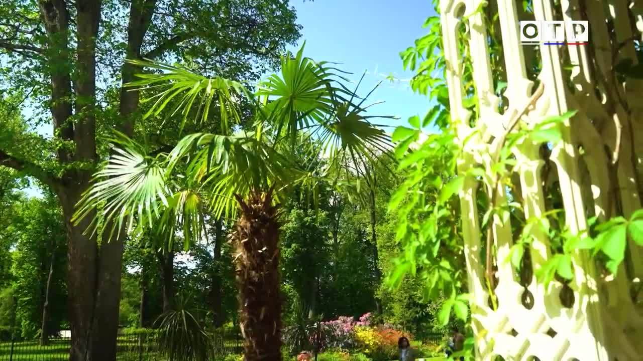 Загородная жизнь империи: От дачных традиций до великосветских курортов