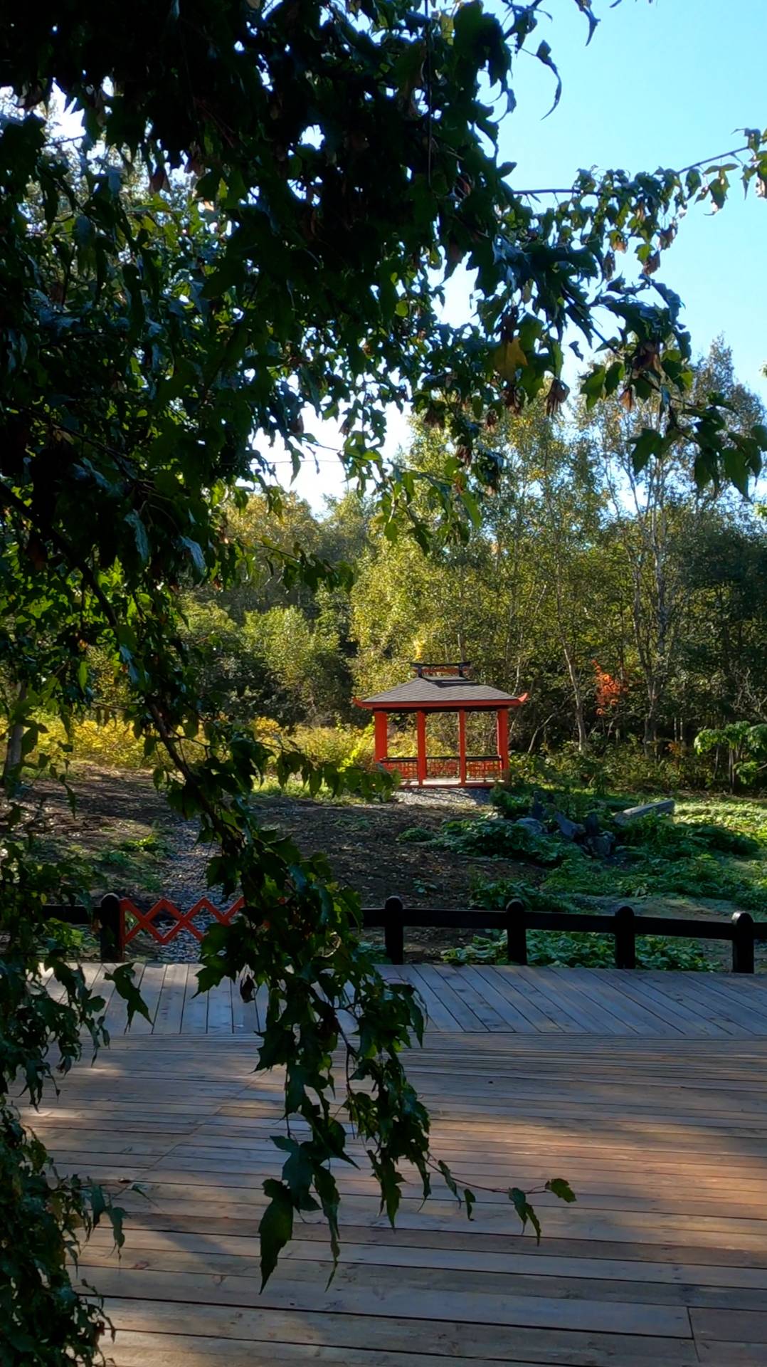 Ботанический сад Южно-Сахалинска