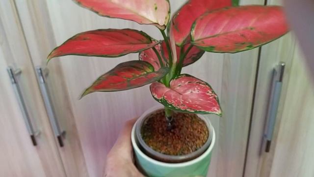 Контраст температур на улице и дома.