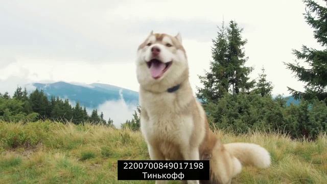 Прежний кредитор подтвердил законность наших требований