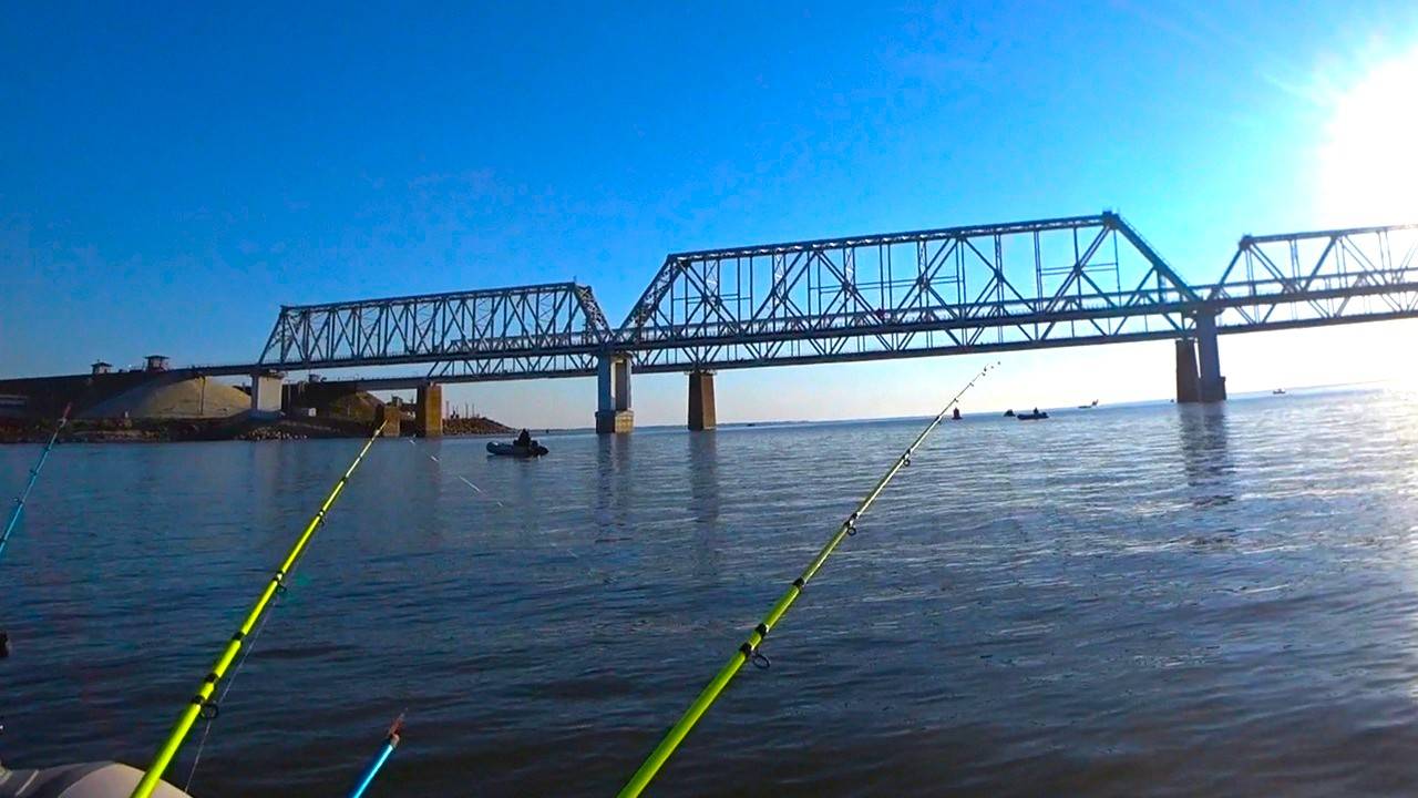 ОНО ГНЁТ... УДОЧКУ В ВОДУ!! РЫБАЛКА НА САЗАНА ОСЕНЬЮ