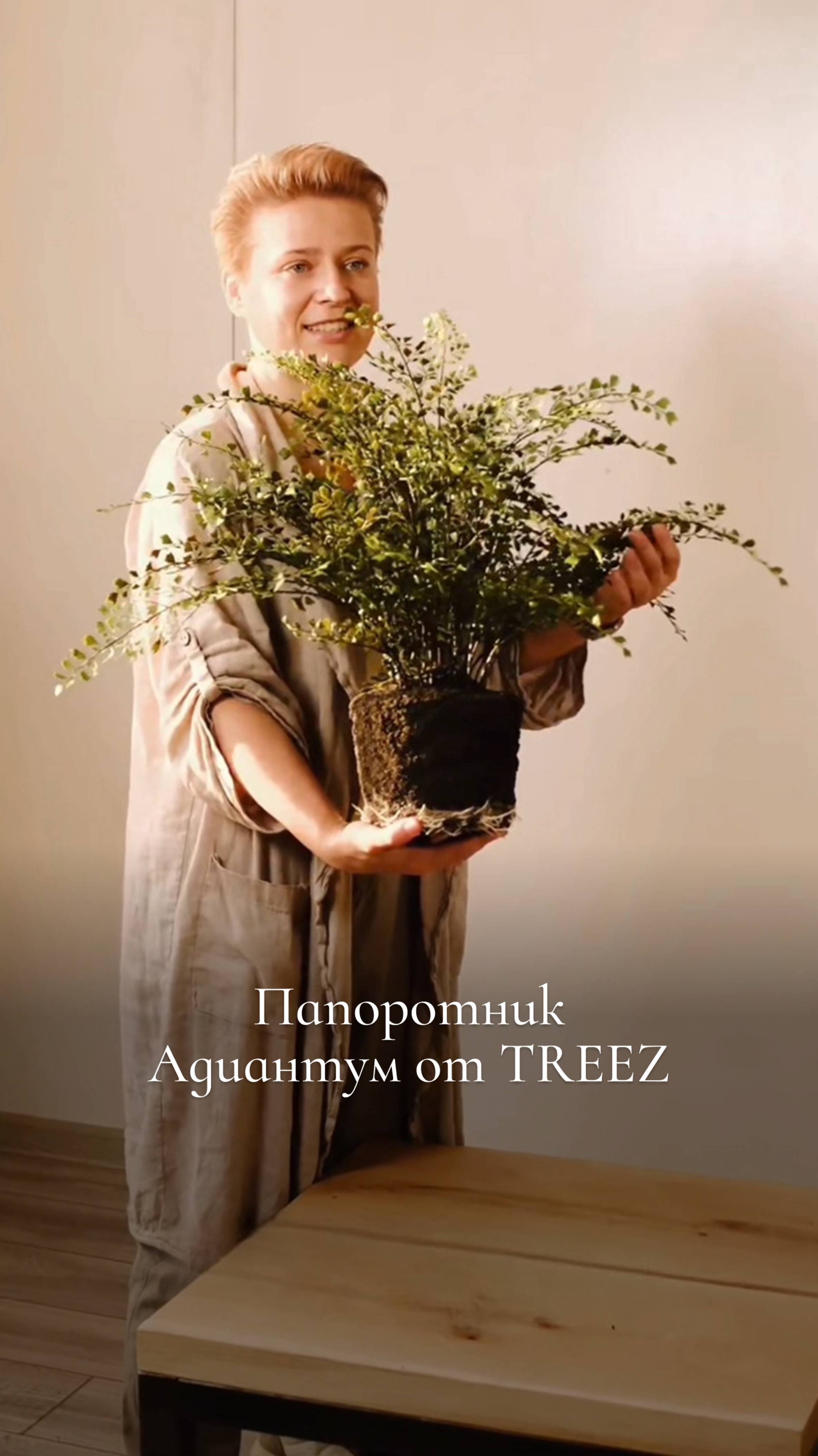 Папоротник Адиантум от TREEZ