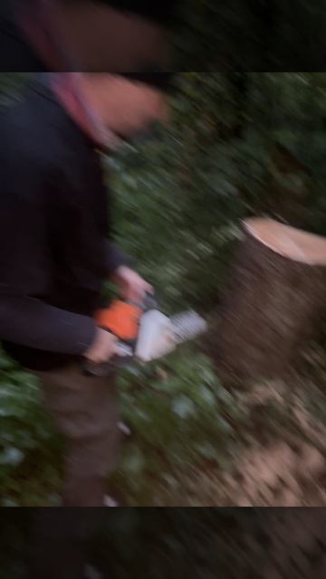 Туристический слет | Тургруппа "ПЕТРЕН&Ко" | Туристический клуб "Глобус" | 26-28.09.2025