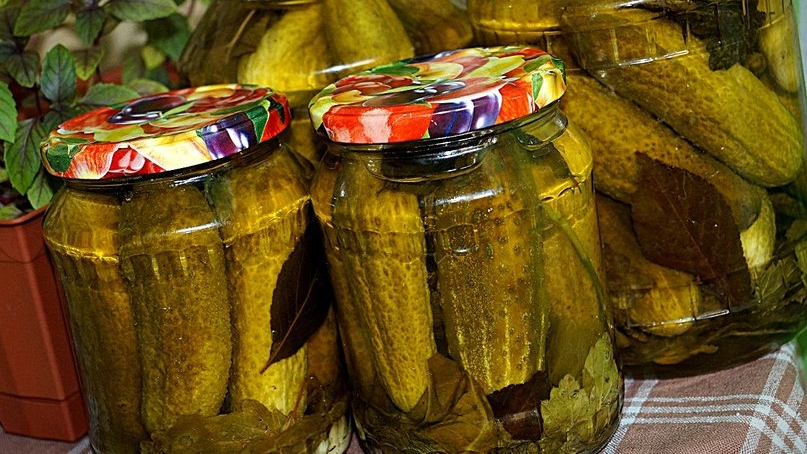СОЛЁНЫЕ ОГУРЧИКИ на зиму без брожения и уксуса