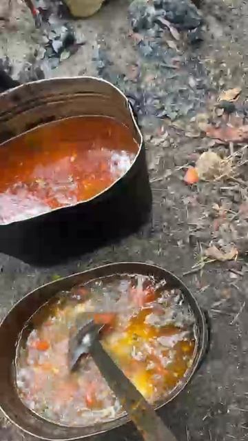 Туристический слет | Тургруппа "ПЕТРЕН&Ко" | Туристический клуб "Глобус" | 26-28.09.2025