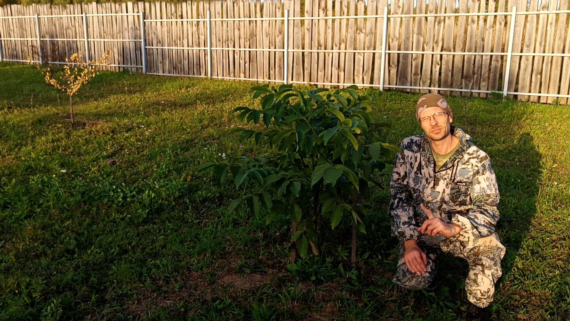 Ореховая аллея на 16 сентября 2025 года.Заканчивается сезон вегетации 2025 года, можно уже сделать