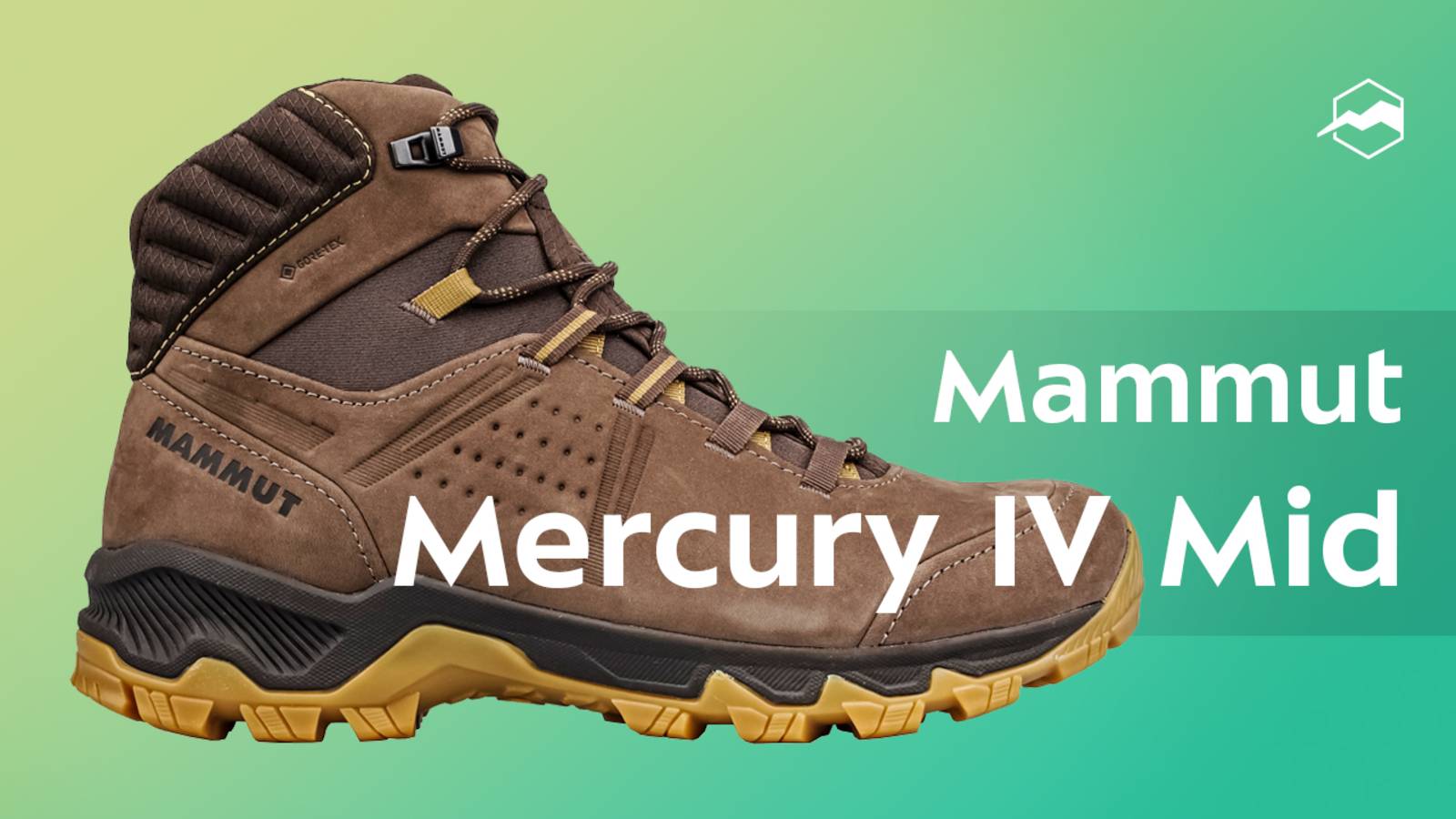 Ботинки мужские Mammut Mercury IV Mid Gtx