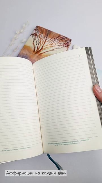 Артикулы 70658-70660 Escalada Collaboration