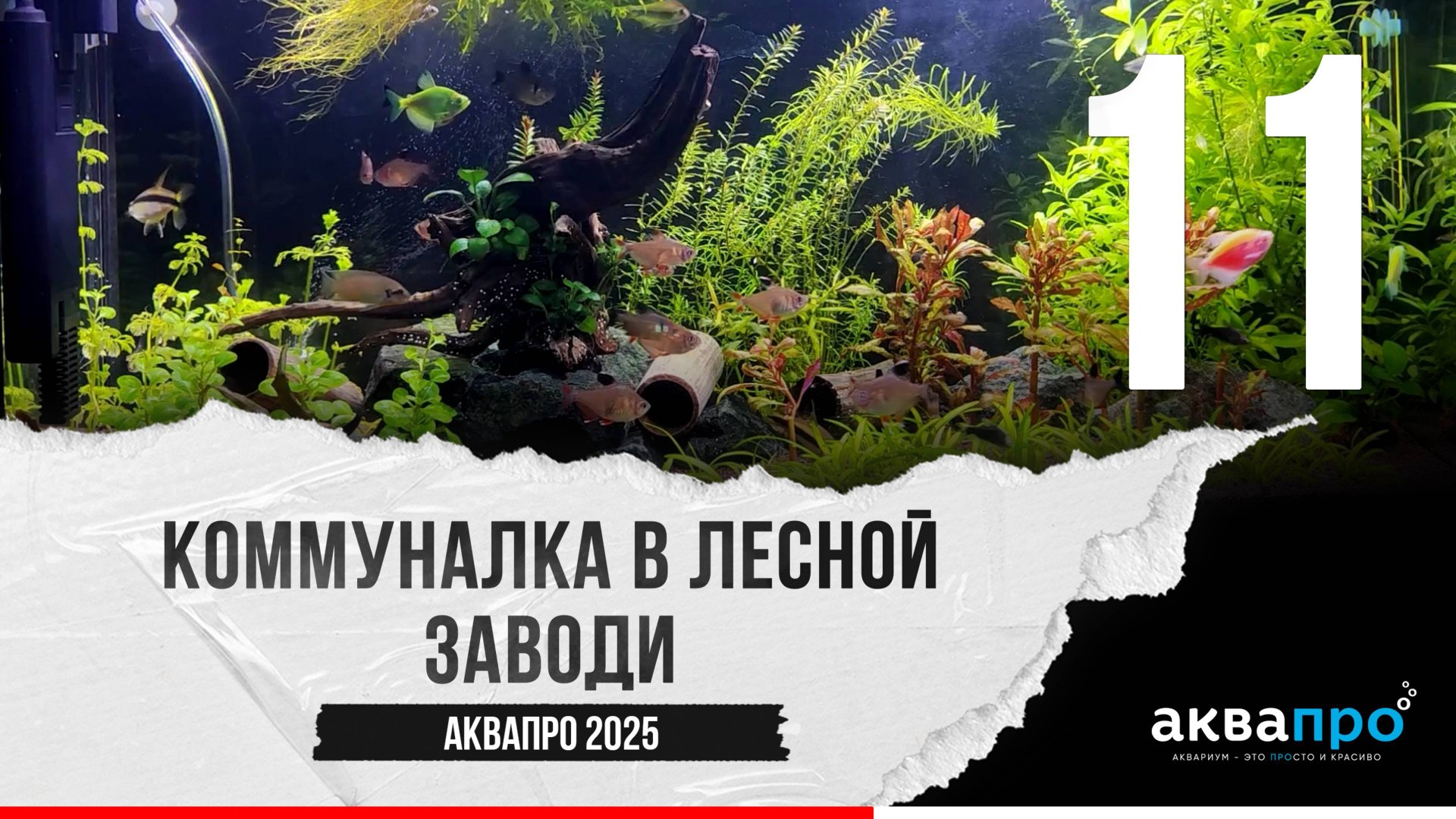 11. Коммуналка в лесной заводив. #АкваПро