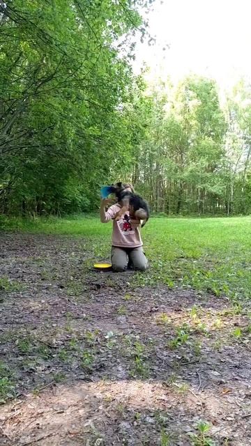 БТ Грэм - начало дог-кетча