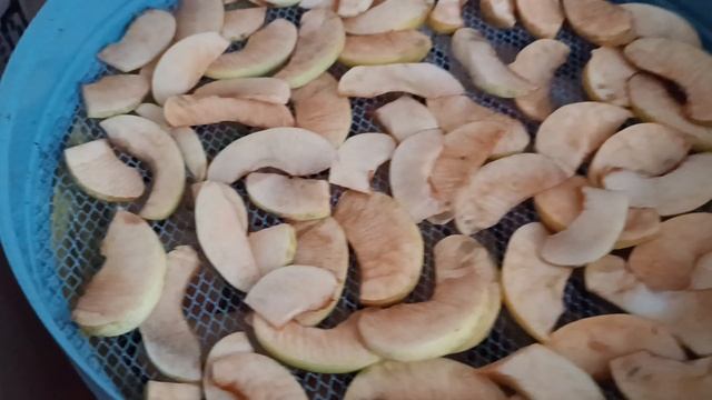 Как сушить и хранить яблоки.