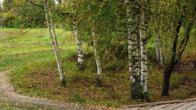 "СВЕТЛАЯ ГРУСТЬ СЕНТЯБРЯ"... (Фото Измаила ЕФИМОВА (Йошкар-Ола), музыка Андре ГАНЬОНА (Канада))