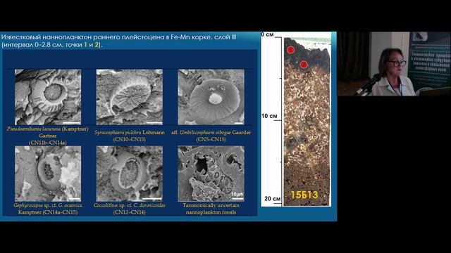 Кобальтоносные Fe-Mn корки на миоценовых породах "petit-spot" вулканов гайота Альба: особенности ...