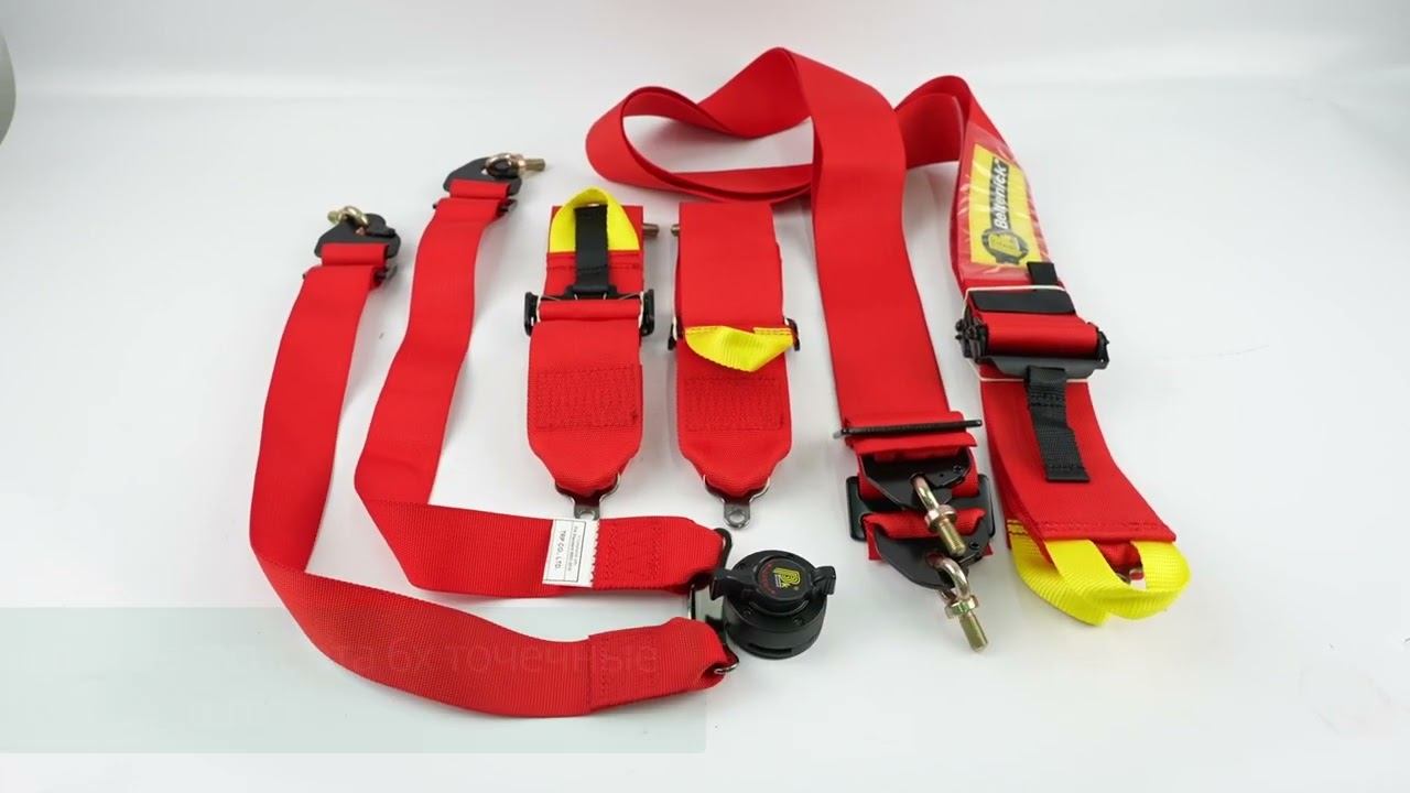 Beltenick ремень безопасности 6х точечный до 2029