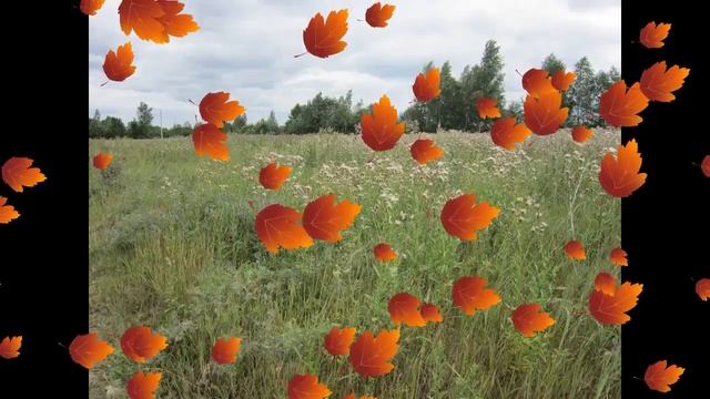 Листья авторская песня стихи фото видео Татьяна Талызина муз исп Слава Гуцан