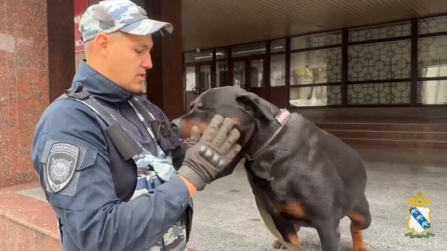 Это все о ротвейлере Ральфе