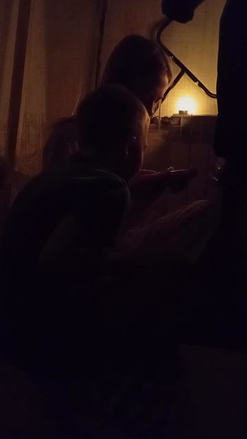 Чемпионат по девяносто девять ночей в лесу трейлер