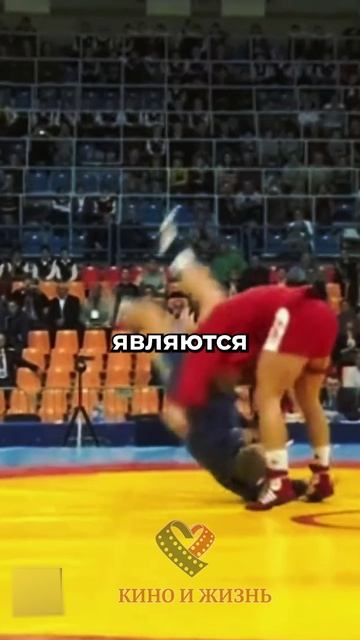 Самбо для россиян..