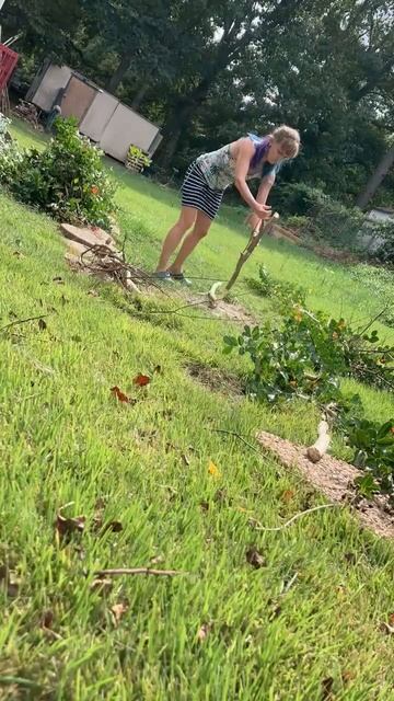 огородный Проект - спили миртовое дерево.