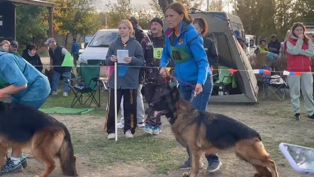 РАБОЧИЙ СУКИ ДШ / Кубок НКП РОСТОВ-НА-ДОНУ 28 сентября`25 Z.Najdovski, Е.Близнецова  Моно н/о