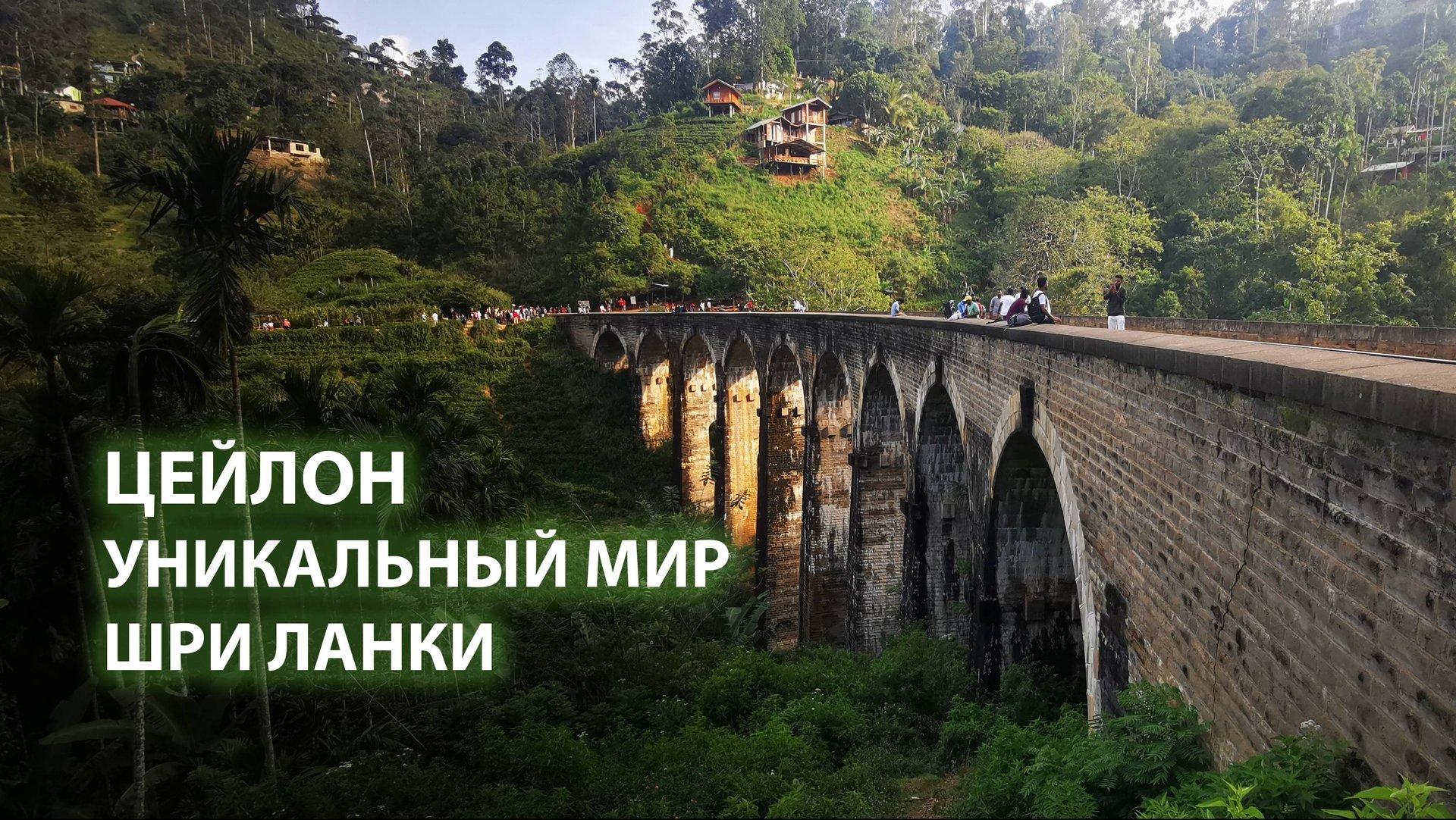 Цейлон: Уникальный мир Шри Ланки