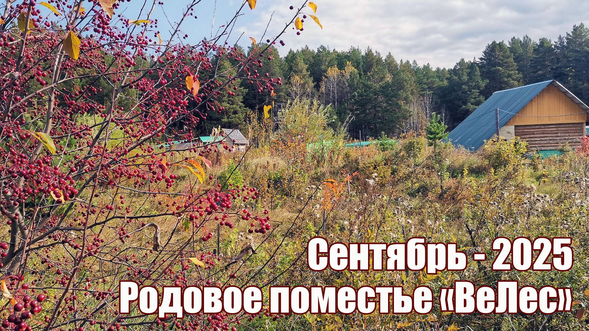 Сентябрь - 2025 в Родовом поместье Ве Лес